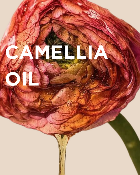 Emulsion Colorante 5.00 Light Chestnut – Ammonia-Free Hair Color ...